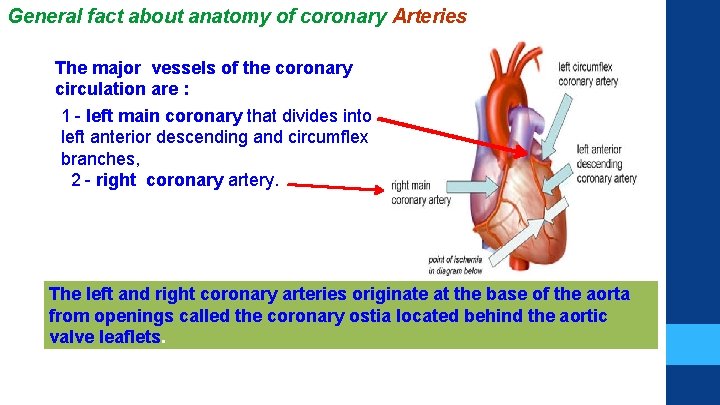 Color index Important Further Explanation Physiology Team 434