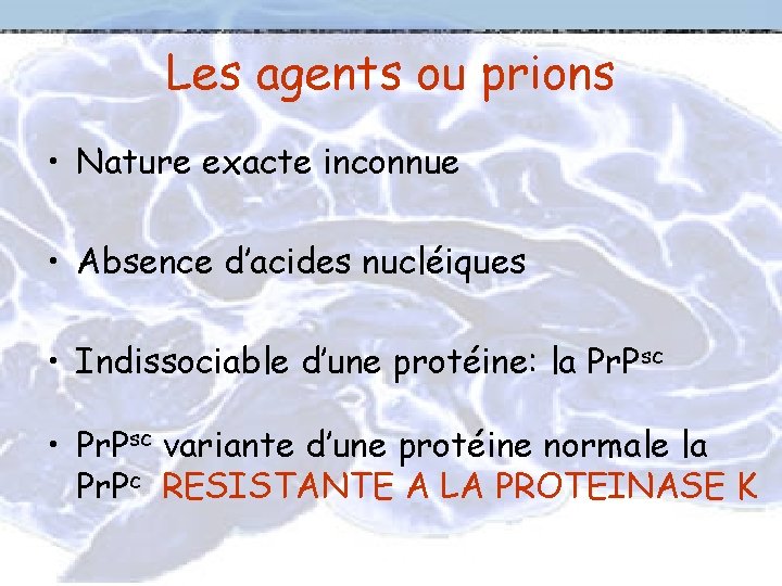 Agents Transmissibles Non Conventionnels Mdecin Principal Serge VEDY