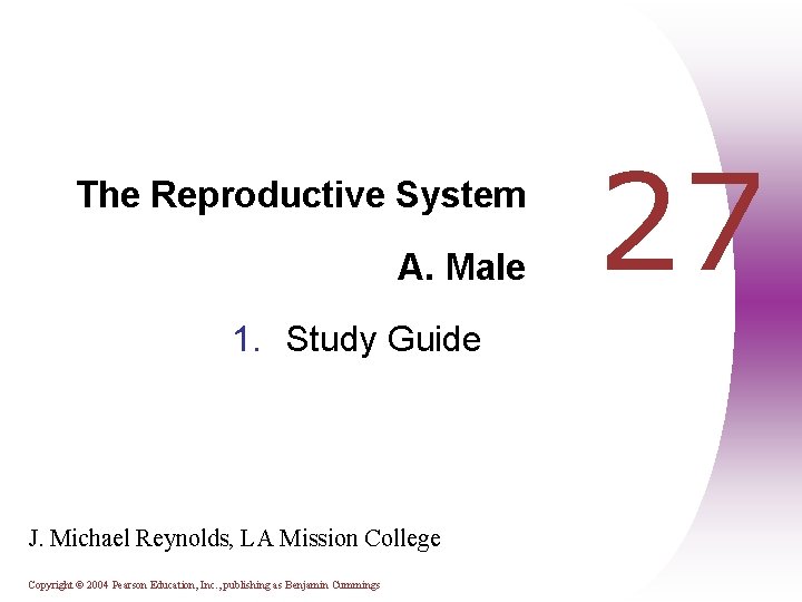 The Reproductive System A Male 1 Study Guide