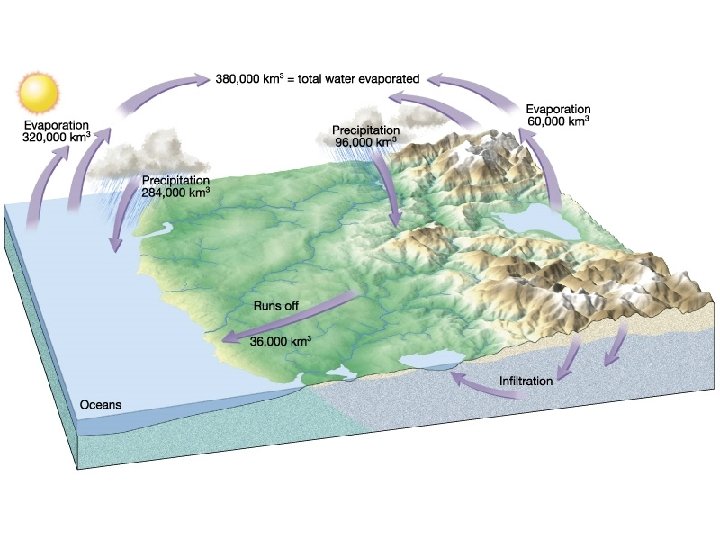 INTRODUCTION TO FLOODING The Hydrologic Cycle Water Basics
