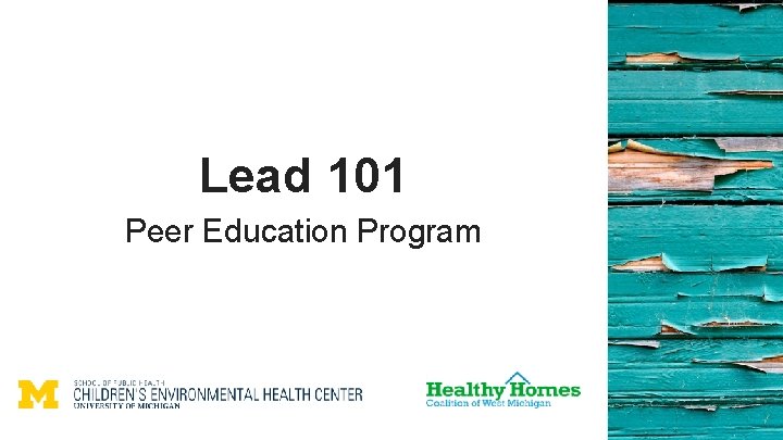 Lead 101 Peer Education Program Who am I