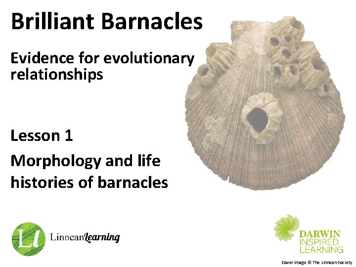 Brilliant Barnacles Evidence for evolutionary relationships Lesson 1