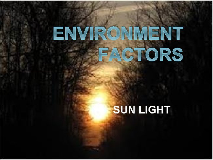 ENVIRONMENT FACTORS SUN LIGHT Contents Solar Radiation The