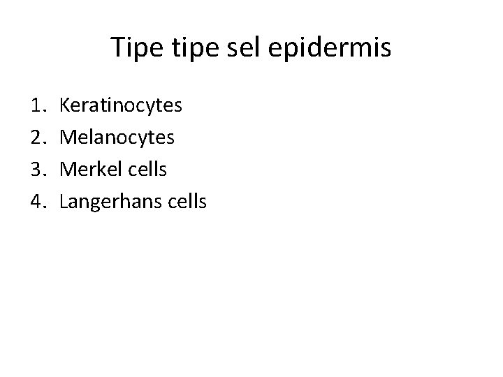 ANATOMI FISIOLOGI SISTEM INTEGUMEN definisi Seluruh tubuh manusia