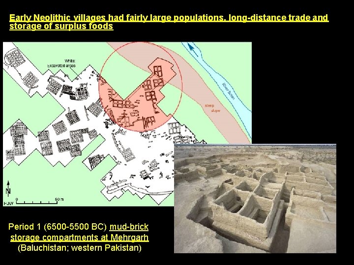 Early Neolithic villages had fairly large populations longdistance