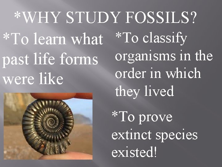 A TRIP THROUGH GEOLOGIC TIME Fossils Fossils are