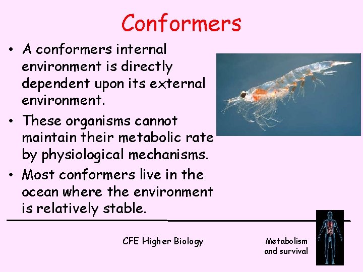 Key area 2 4 Metabolism in conformers and