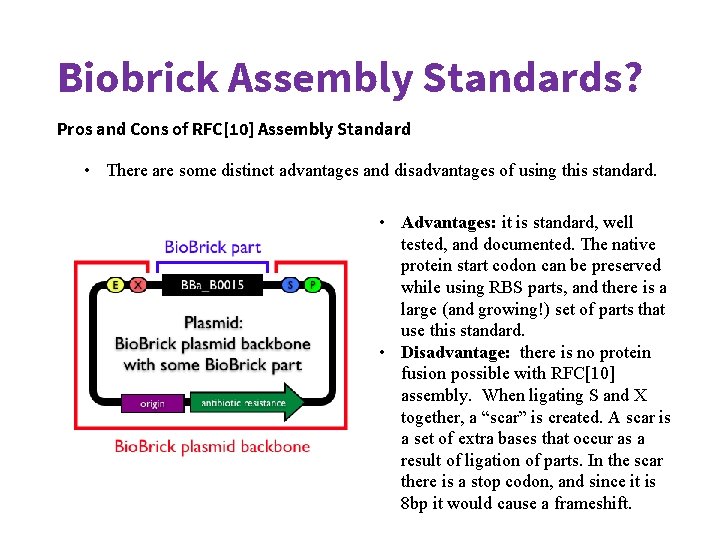 Biobrick Format more 101 May 21 st 2020