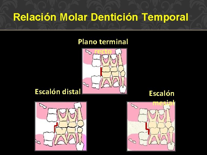 PRECLNICA HISTORIA CLNICA Dra Mildres Pausa Carmenates Profesora