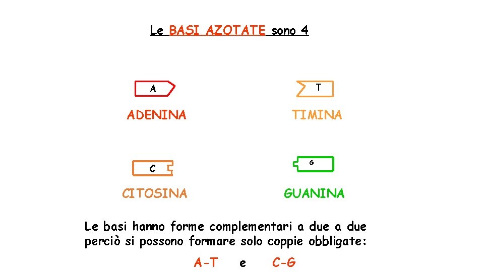 Il DNA e il codice genetico Il DNA