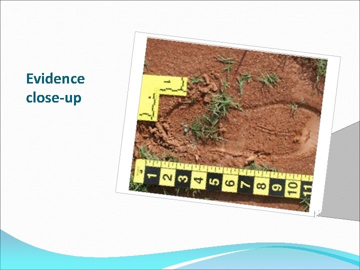 Intro to Forensic Science Green slides taken from