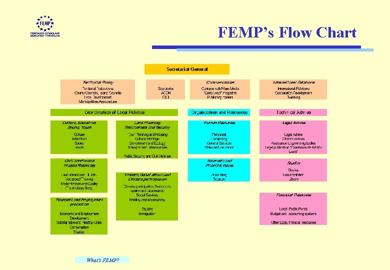 The Spanish Federation of Municipalities and Provinces FEMP