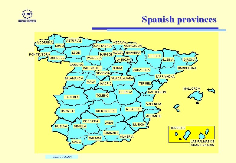 The Spanish Federation of Municipalities and Provinces FEMP