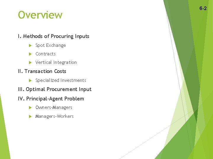 Managerial Economics Business Strategy Chapter 6 The Organization