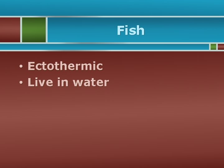 The ColdBlooded Vertebrates Chapter 13 B Body Systems