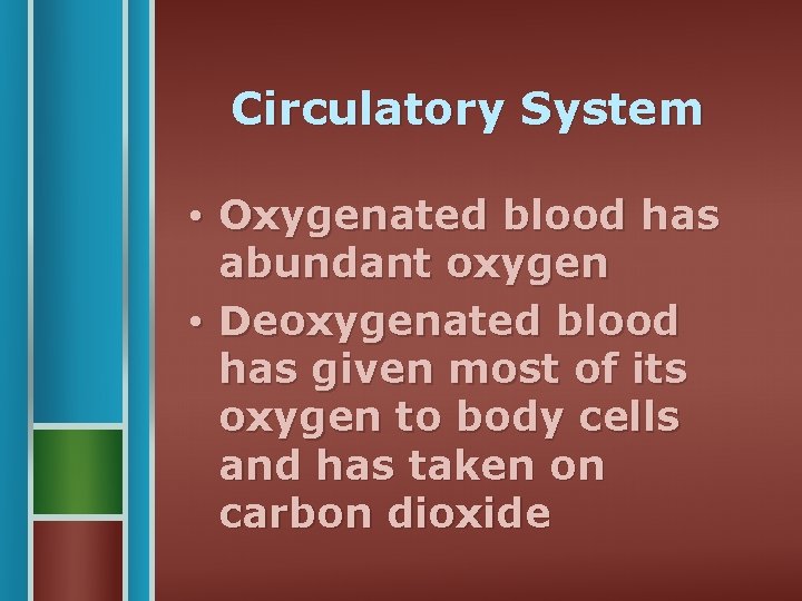 The ColdBlooded Vertebrates Chapter 13 B Body Systems