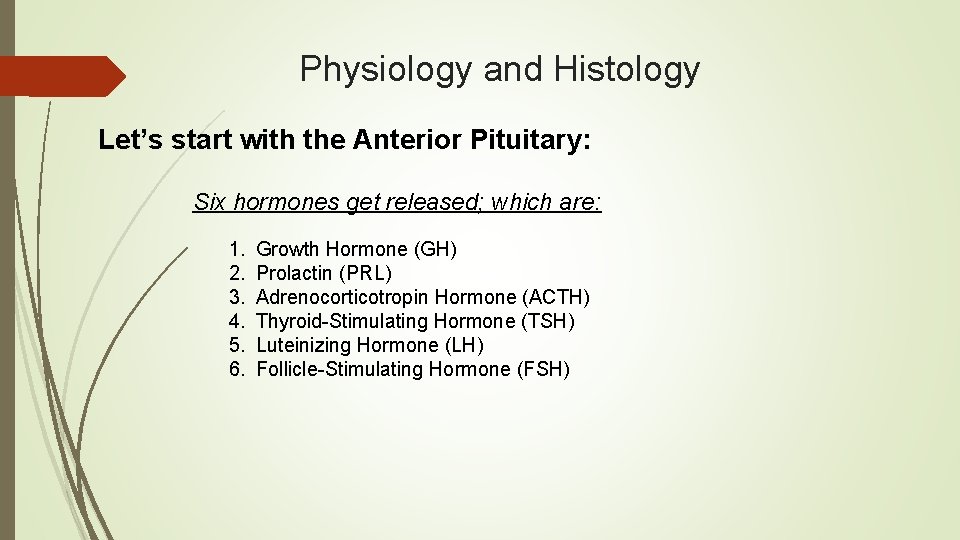 Pituitary Gland Overview Quick Embryology Quick Anatomy 1