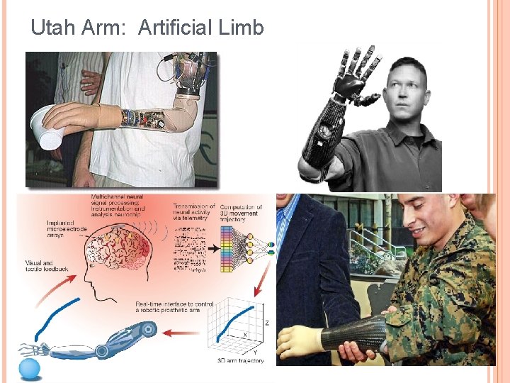 UTAH IN THE 20 TH CENTURY GLOBAL IMPACT