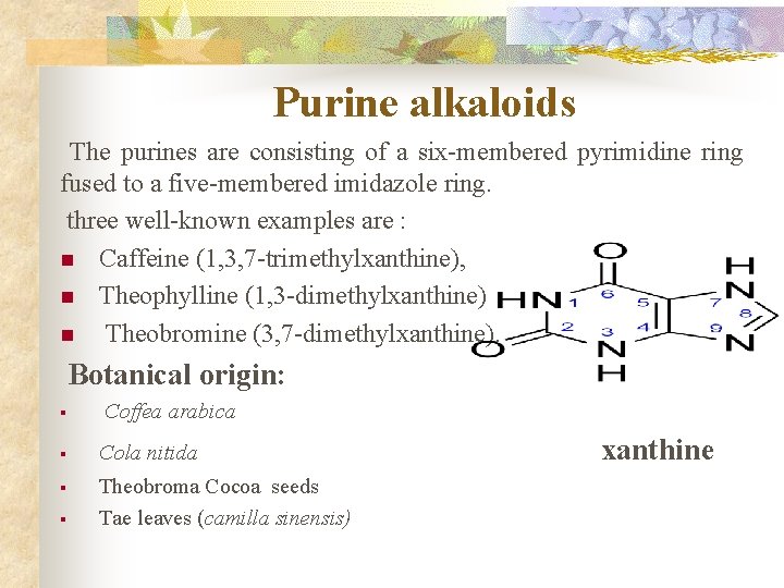 Purine alkaloids and Protoalkaloids By Noor Hisham AlAtraqchi