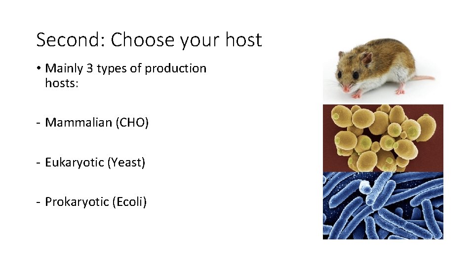 Establish your own biofactory using CRISPRCas 9 system