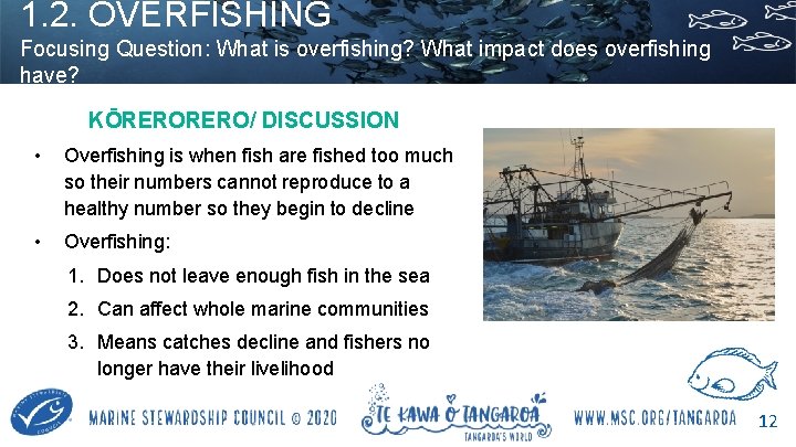1 2 OVERFISHING Focusing Question What is overfishing