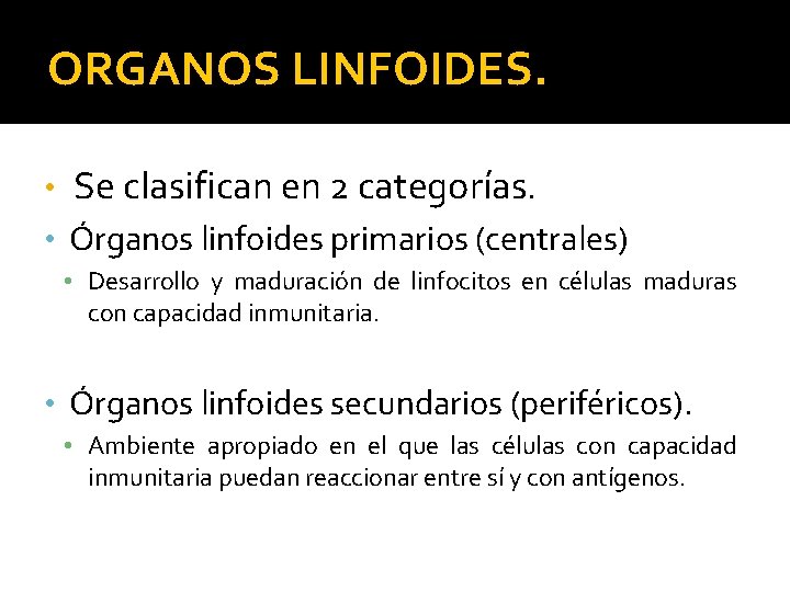 HISTOLOGA DEL SISTEMA LINFTICO Dr Henrry Geovanni Mata