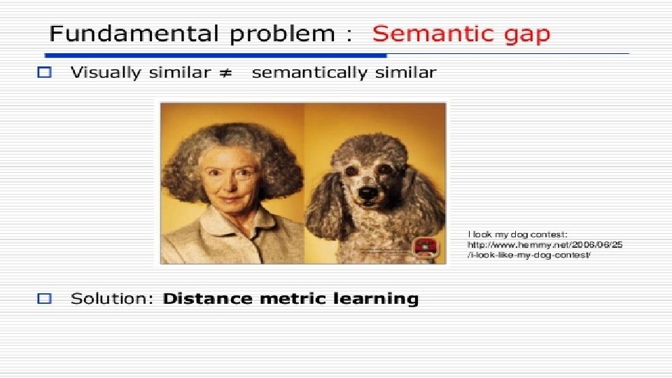 Large Scale Distributed Distance Metric Learning by Pengtao