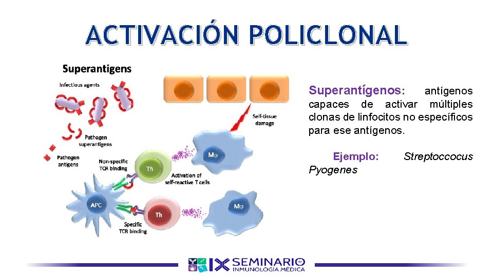 Universidad Autnoma de Sinaloa Facultad de Medicina Licenciatura