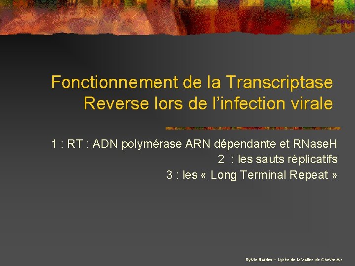Fonctionnement de la Transcriptase Reverse lors de linfection