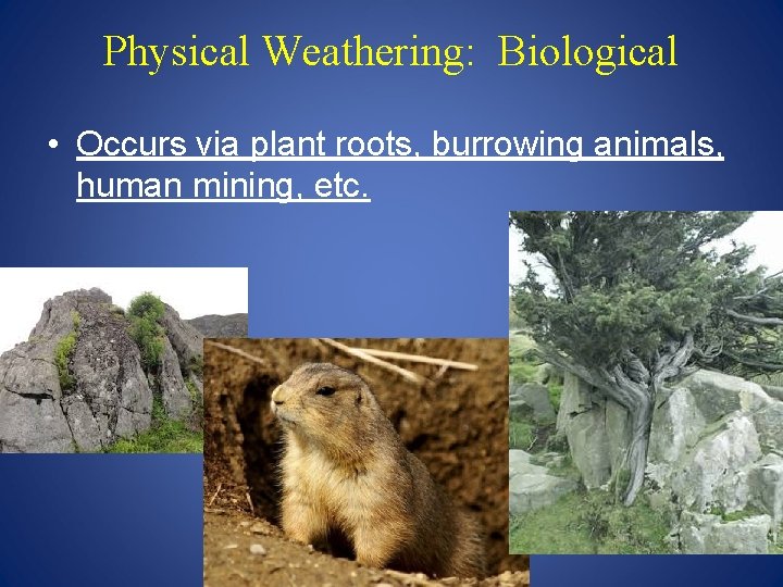 Weathering and Erosion Weathering of Rock vs Erosion