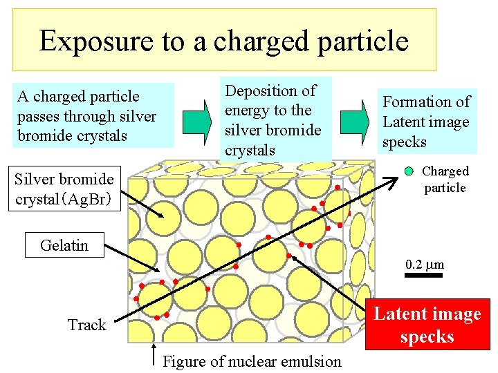 Observation of latent image specks in nuclear emulsion