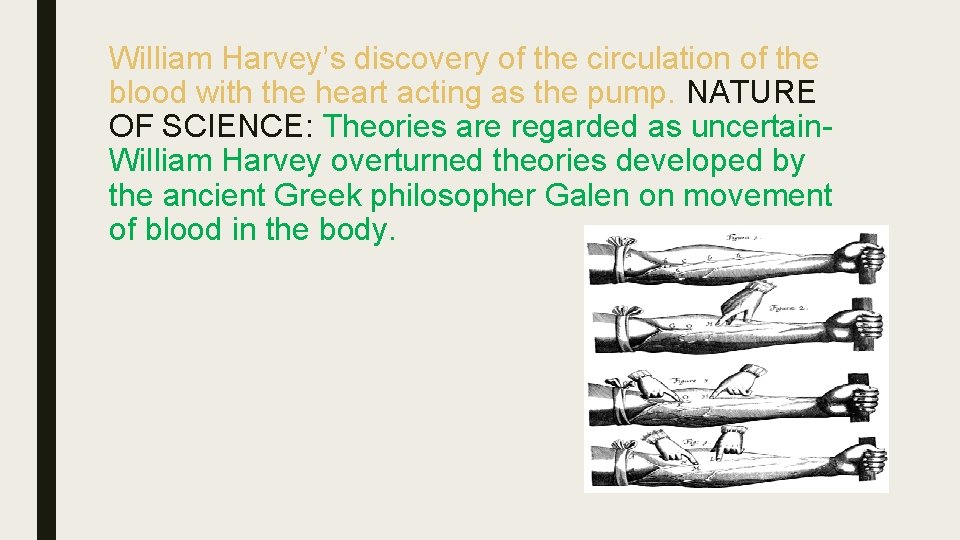 THE BLOOD SYSTEM Blood Vessels Arteries have muscle