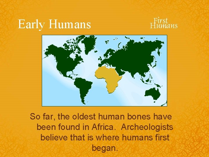 Early Humans Chapter 1 Section 1 Illustrated by