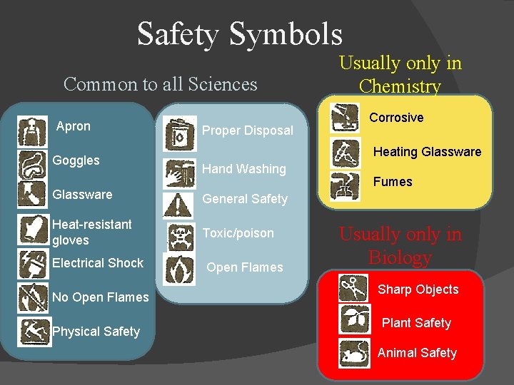 LABORATORY SAFETY Safety Objectives 1 The student must