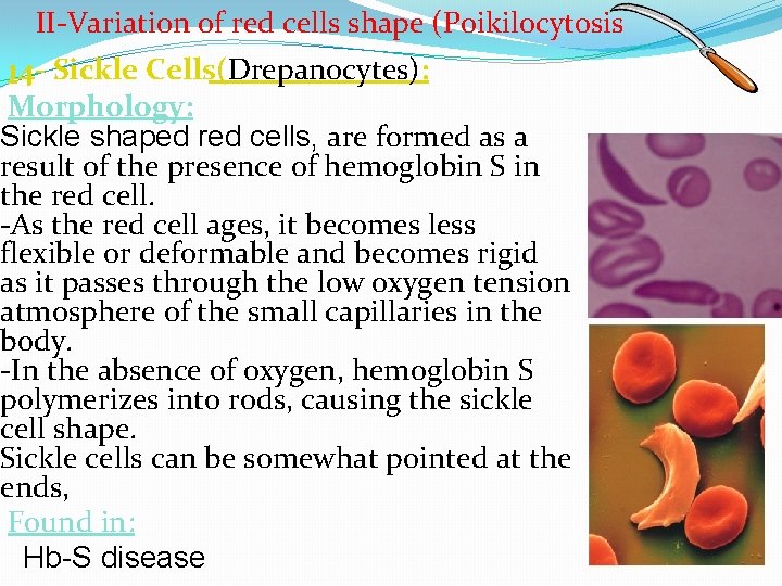 Hematology Morphology of RCB in health and disease