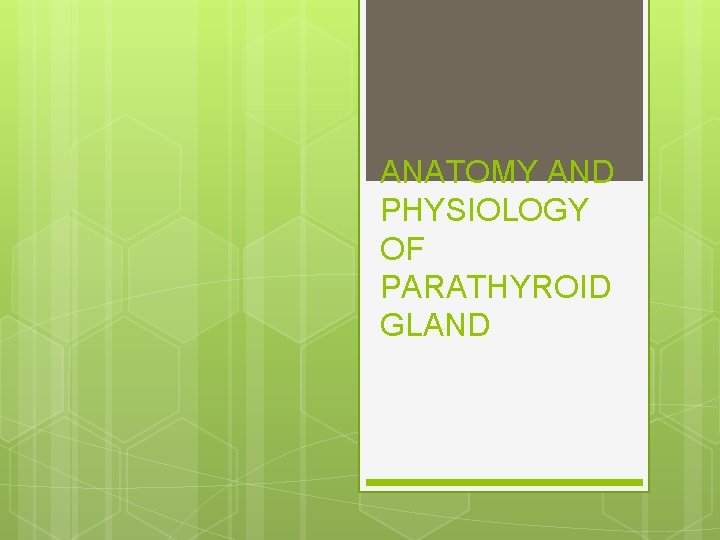 ANATOMY AND PHYSIOLOGY OF PARATHYROID GLAND DEVELOPMENT The