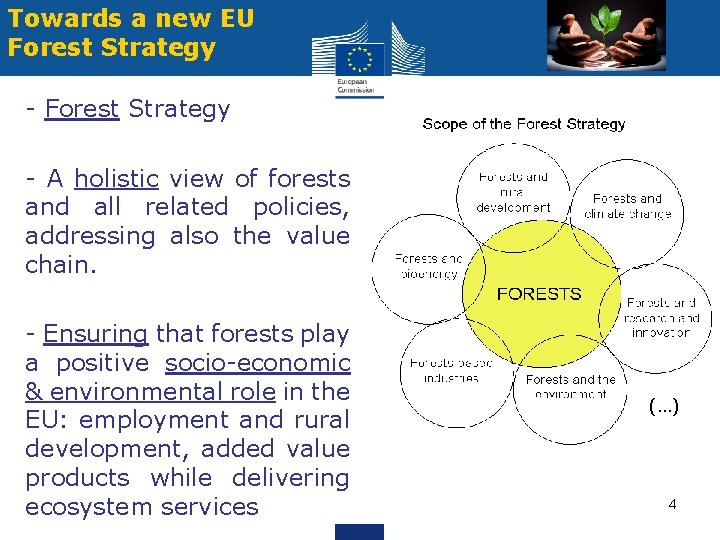 New EU Forest Strategy and Update on Forest