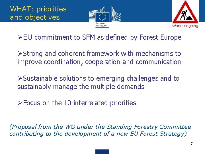 New EU Forest Strategy and Update on Forest