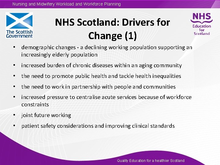 Nursing and Midwifery Workload and Workforce Planning Nursing