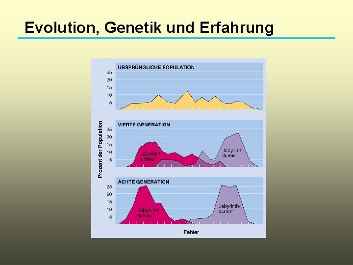 Evolution Genetik und Erfahrung Verschiedene Arten von Genen