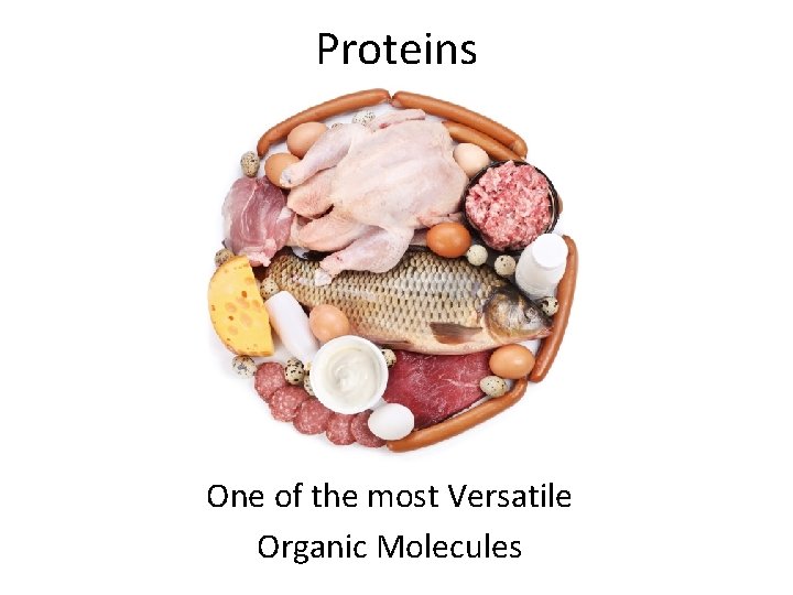 Proteins One of the most Versatile Organic Molecules