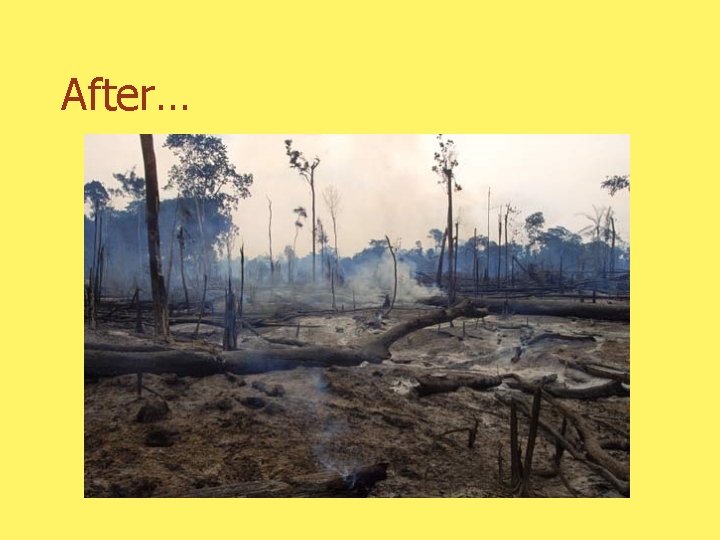 Latin Americas Environmental Concerns Unit 6 Notes Air