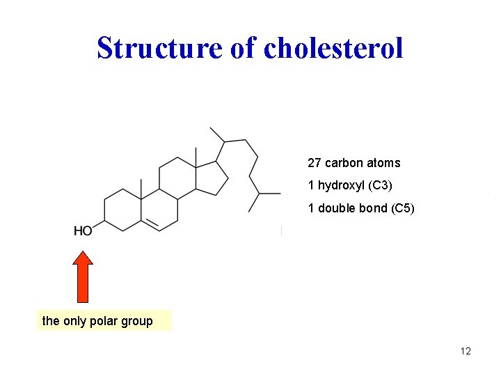 Lipoproteins Seminar No 2 Chapter 13 1 Lipids