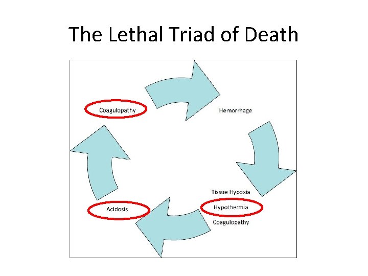 The Initial Assessment and Evaluation of Abdominal Trauma
