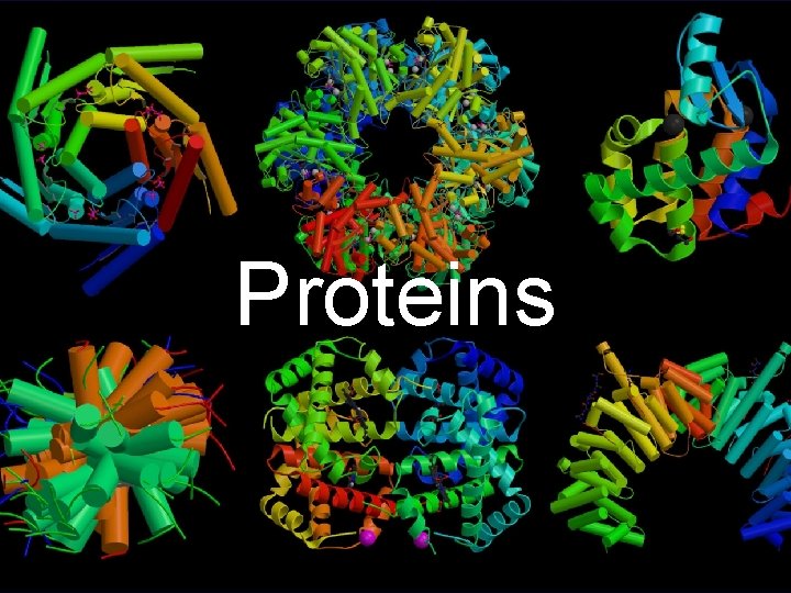Proteins Proteins What are they Worker What molecules