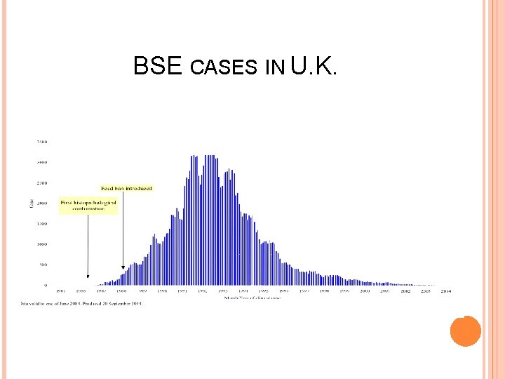 THE GOOD THE BAD AND THE UGLY OF