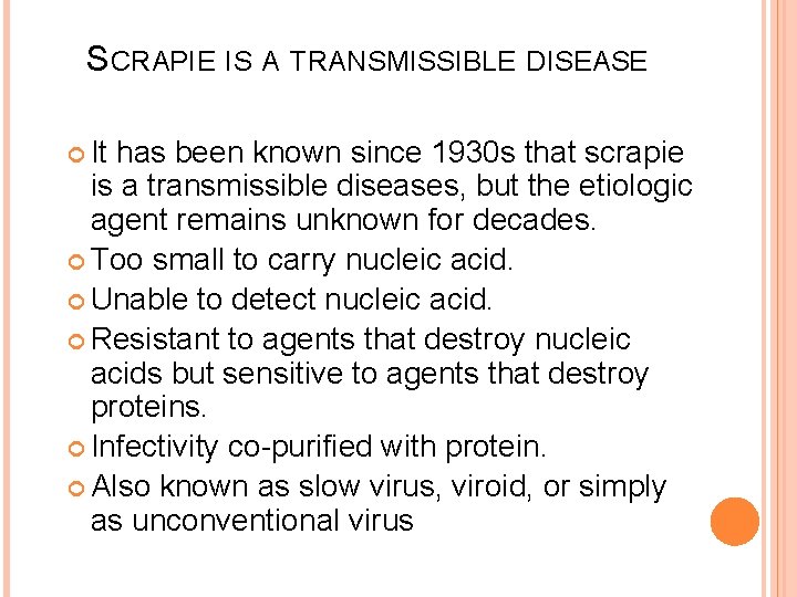 THE GOOD THE BAD AND THE UGLY OF