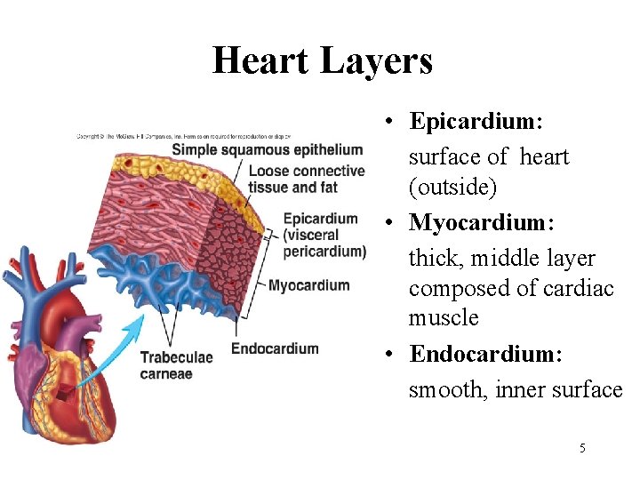 Chapter 12 Lecture Slides Copyright The Mc GrawHill
