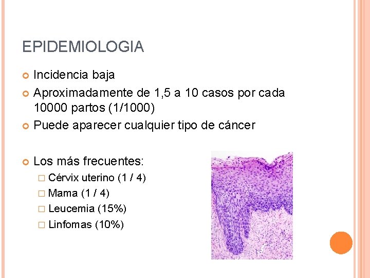 CANCER Y EMBARAZO Carmen Gonzlez Macas Hospital Universitario