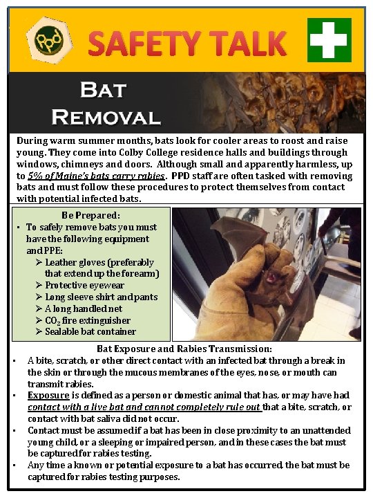 SAFETY TALK Bat Removal During warm summer months